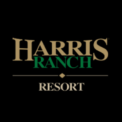 Platinum Wedding Expo | EXHIBITORS